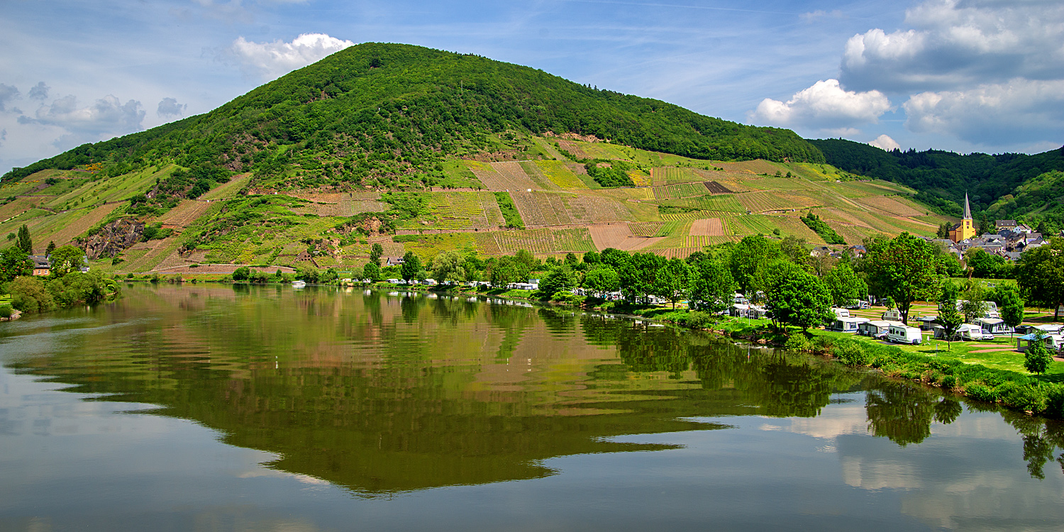 "Senheim an der Mosel" Foto & Bild | world, natur, landschaft Bilder ...