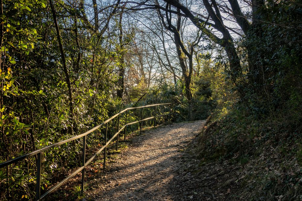 Sentiero Foto % Immagini| paesaggi, campagna, 2018 Foto su fotocommunity