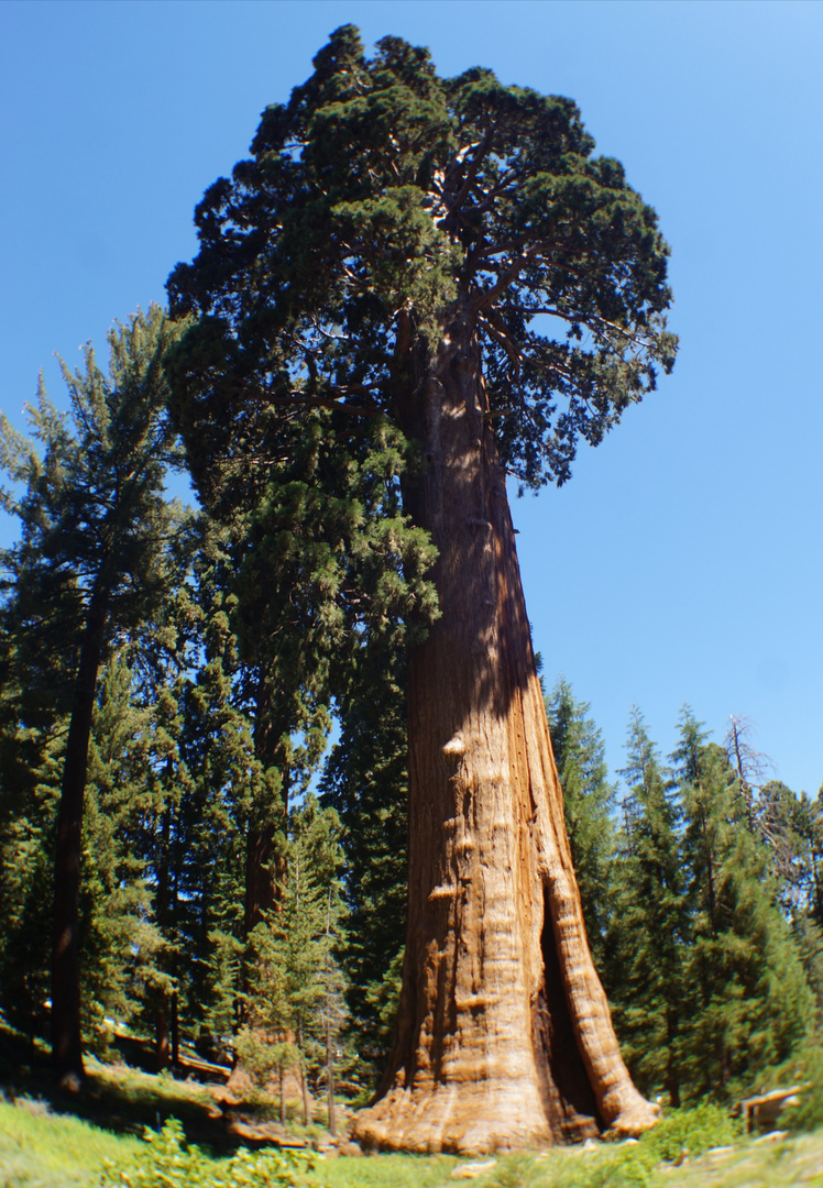 Sentinental Foto & Bild | north america, united states, national parks ...