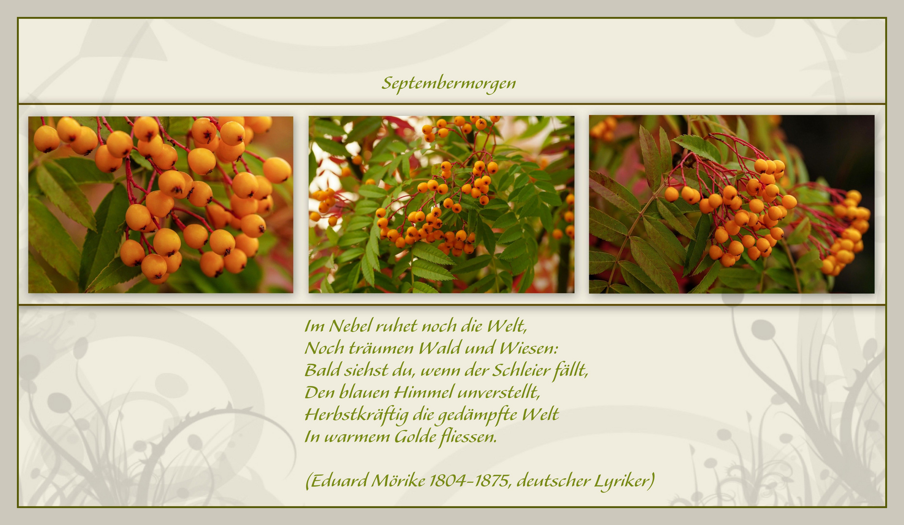 September Foto & Bild | september, natur, herbst Bilder auf fotocommunity