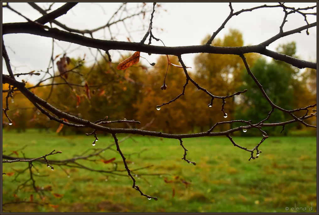 September... Foto & Bild | jahreszeiten, herbst, natur Bilder auf ...