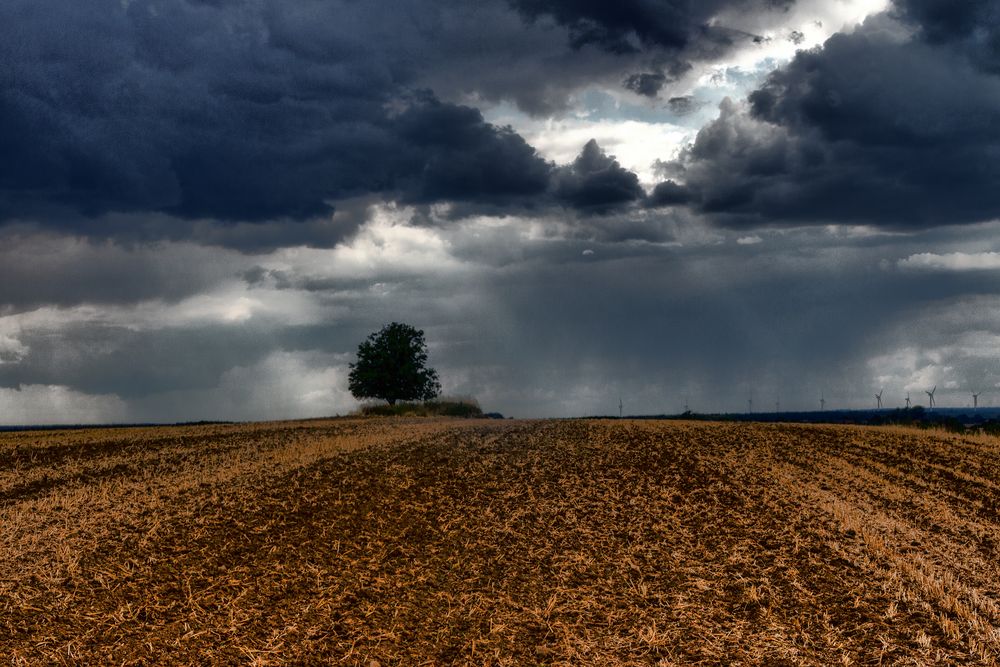 September Foto & Bild | deutschland, europe, brandenburg Bilder auf ...