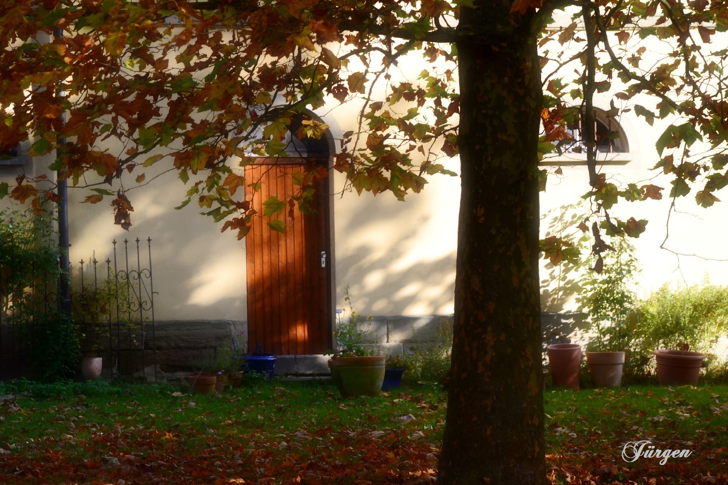 September Foto & Bild | bäume, natur, herbst Bilder auf fotocommunity