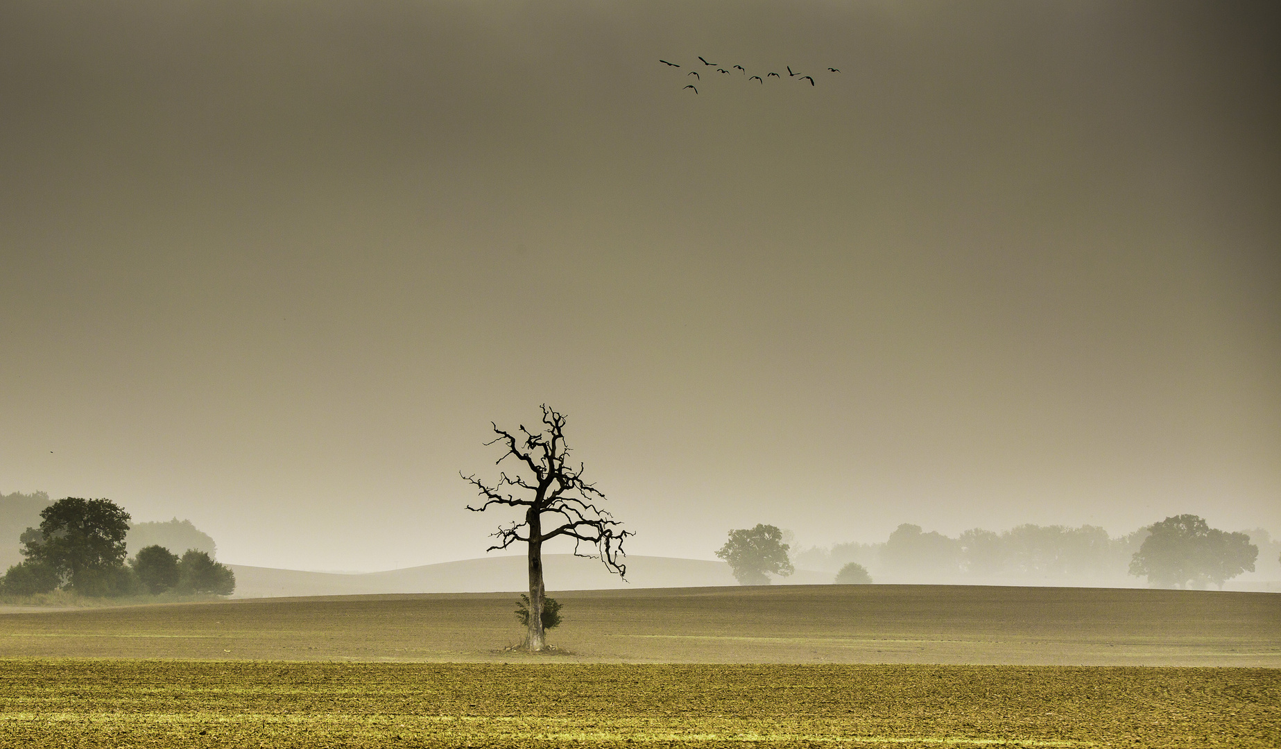 September Foto & Bild | landschaft, september, natur Bilder auf ...