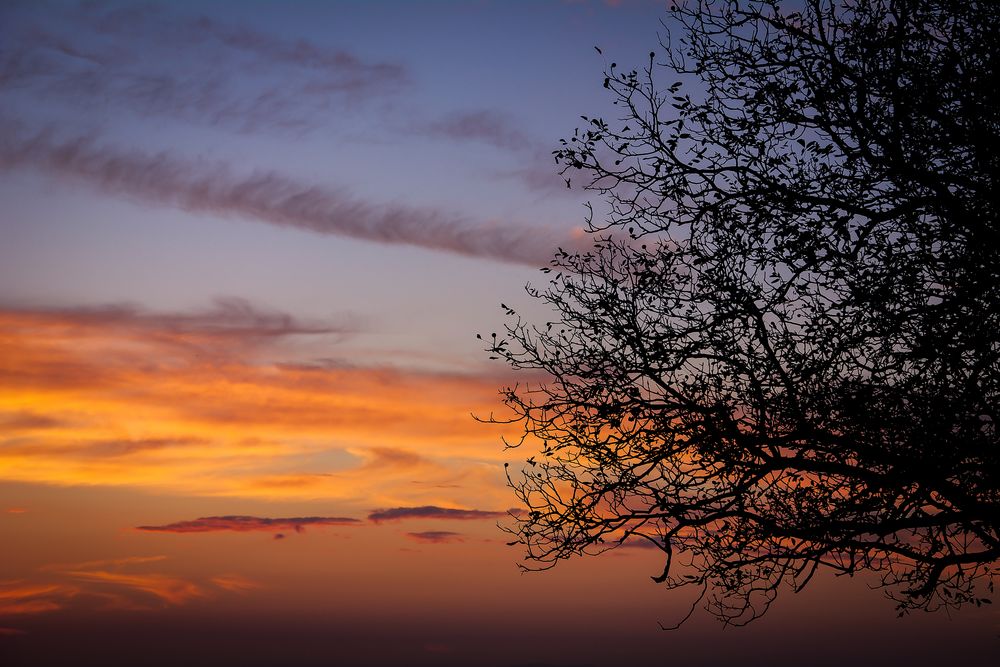 Septemberabend Foto & Bild | sonnenuntergänge, himmel & universum ...