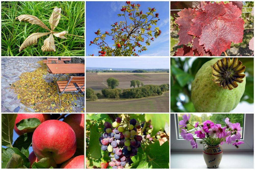 Septemberbilder Foto & Bild | jahreszeiten, herbst, collagen Bilder auf ...