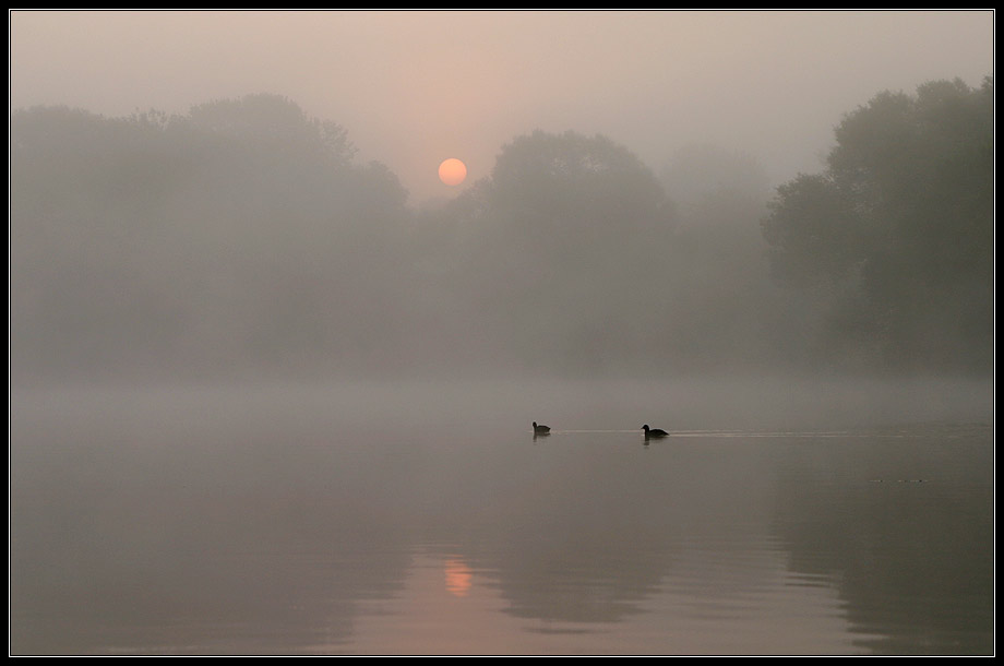 Septembermorgen Foto & Bild | jahreszeiten, herbst, natur Bilder auf ...