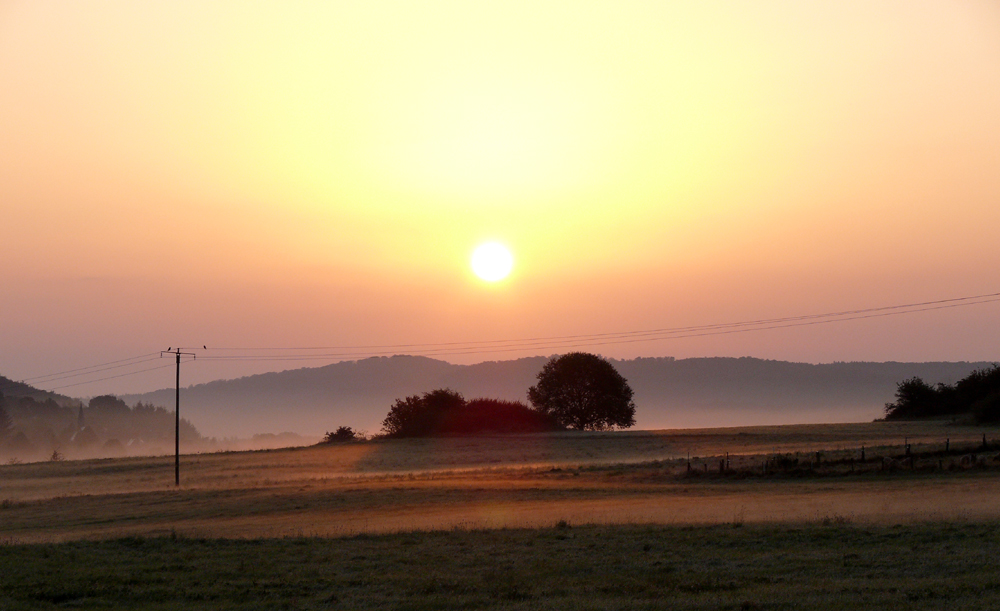 Septembermorgen Foto & Bild | landschaft, Äcker, felder & wiesen ...