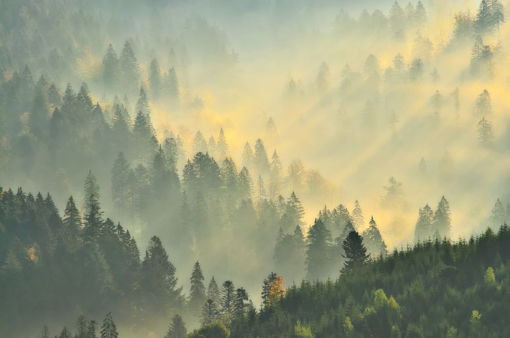 Septembermorgen - Bild & Foto von Jörg Klüber aus Wettbewerb ...