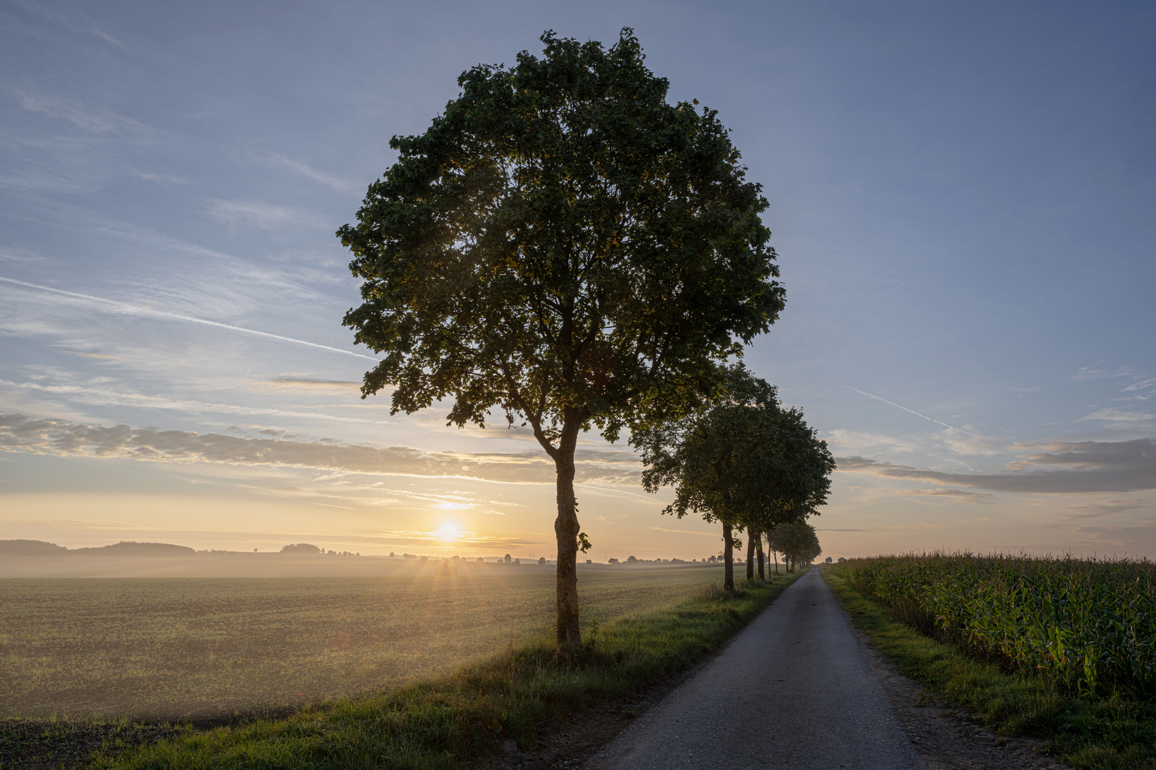 Septembermorgen Foto & Bild | deutschland, europe, baden- württemberg ...
