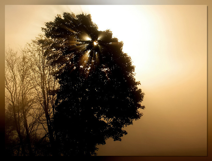 Septembermorgen II Foto & Bild | jahreszeiten, herbst, natur Bilder auf ...