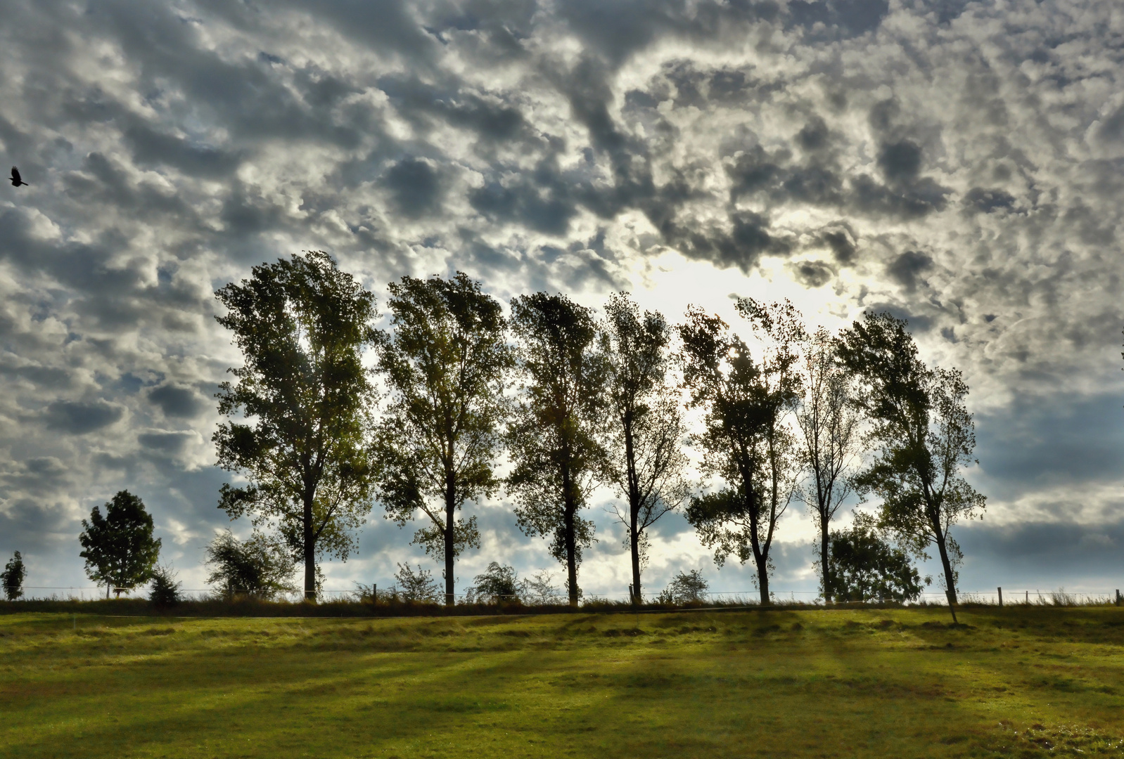 Septembermorgen im Lichtermeer Foto & Bild | september, bäume, wolken ...