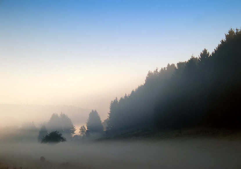 Septembermorgen IV... Foto & Bild | nebelstimmungen, wetter, natur ...