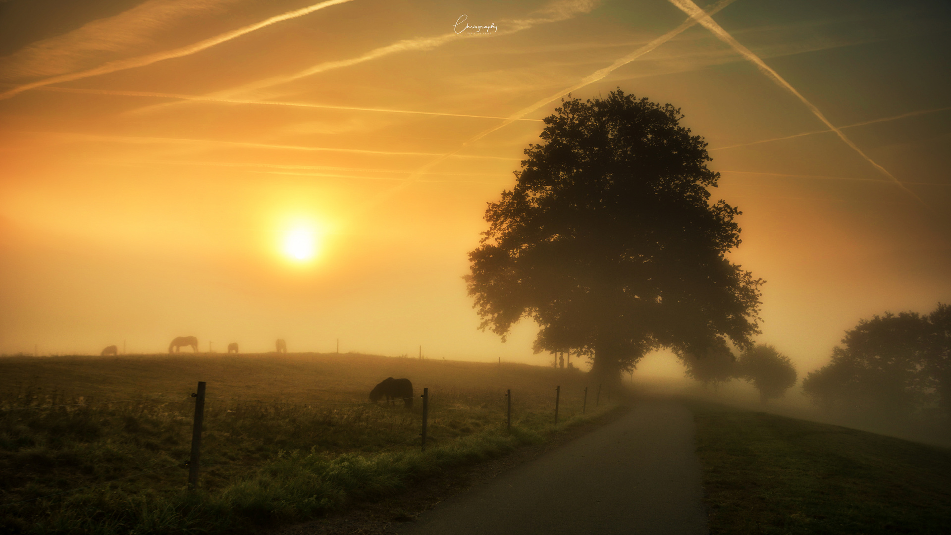 Septembermorgen mit Nebel Foto & Bild | deutschland, europe, baden ...