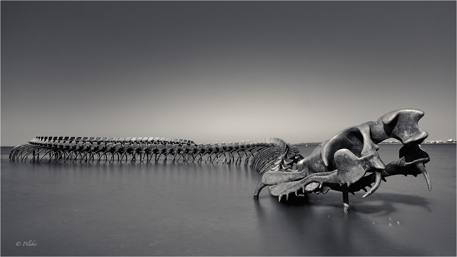 Serpent d’océan Foto & Bild | europe, france, kunstfotografie & kultur ...