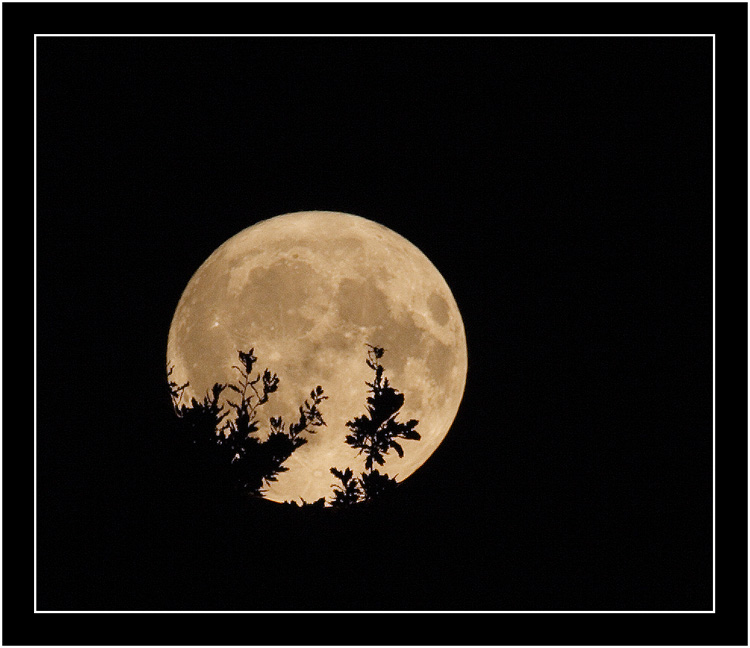 Shadow on the moon reload Foto & Bild | mondaufnahmen, himmel ...