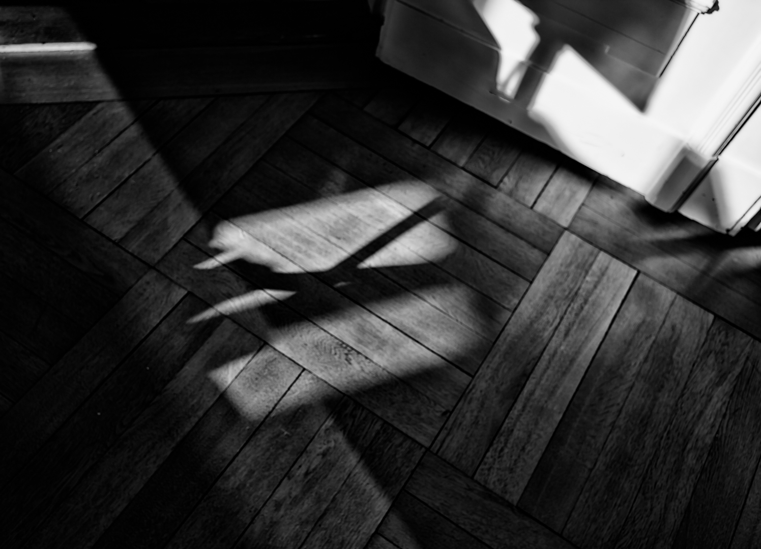 shadow.sound Foto & Bild | experimente, techniken, fotokunst Bilder auf ...