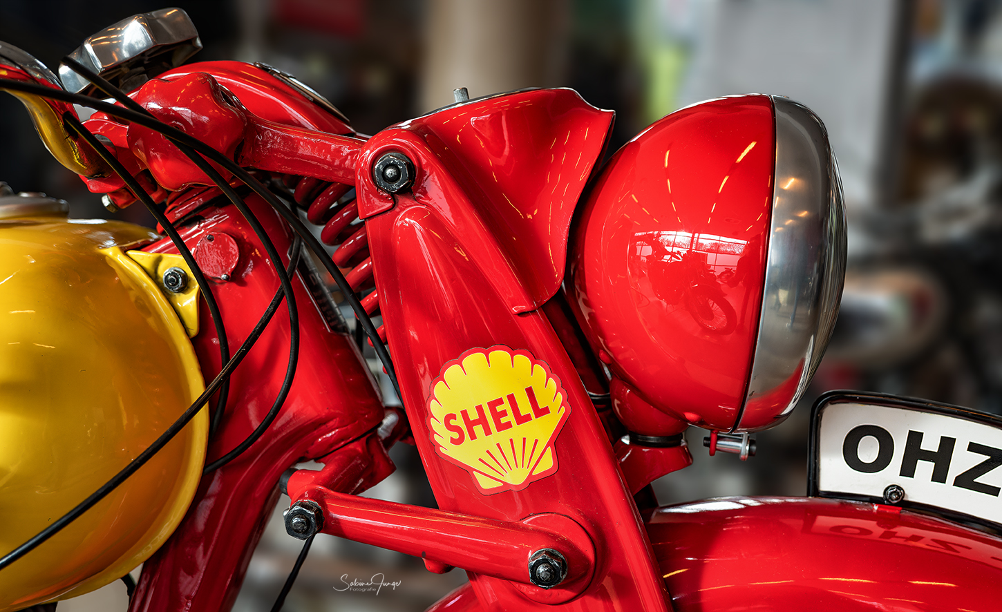 She sells sea shells Foto & Bild | nikon, spezial, dkw Bilder auf ...