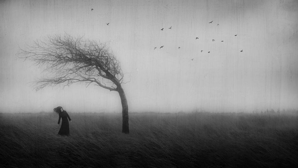 She told me about her plan to disappear with the wind Foto & Bild ...