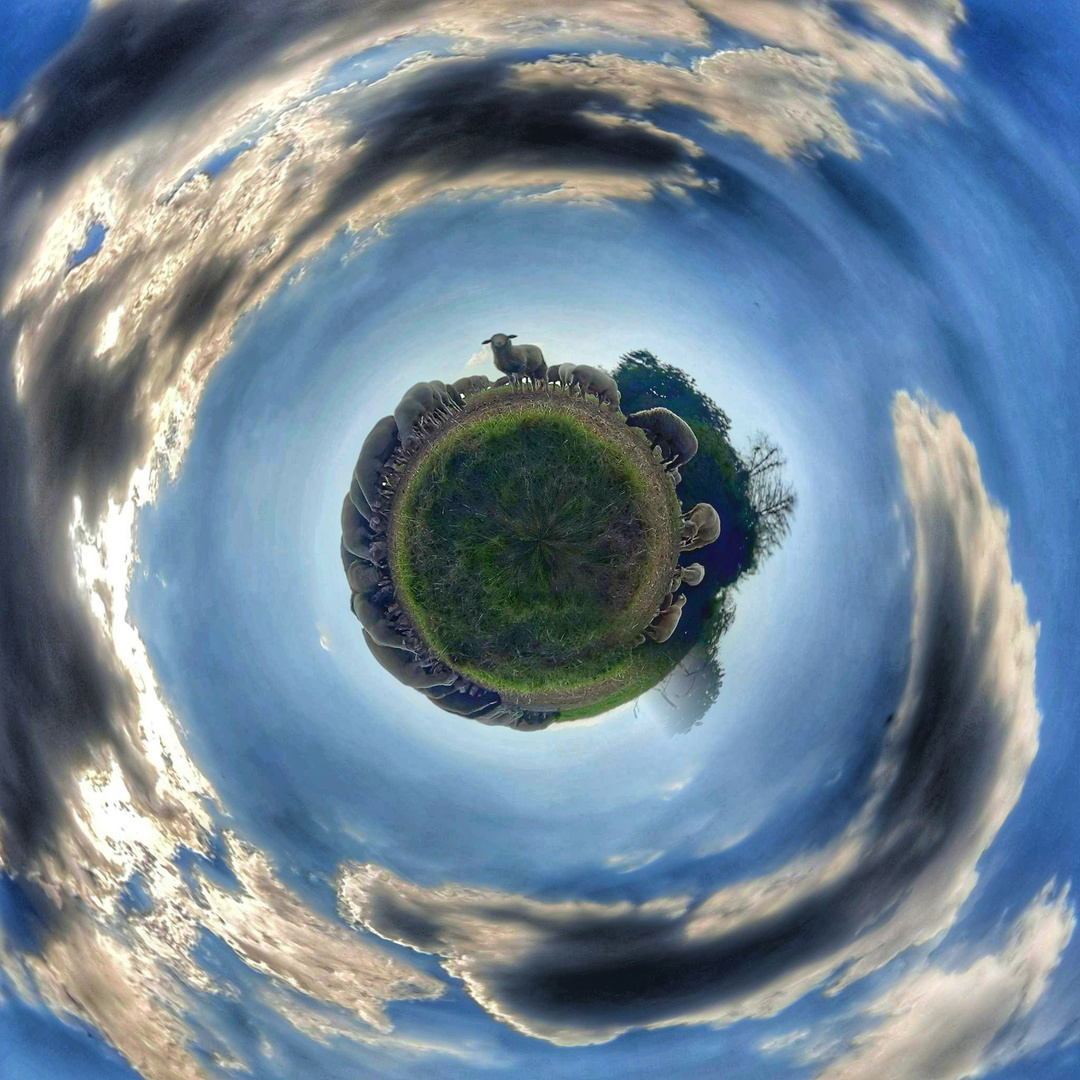 Sheep World Foto & Bild | himmel, natur, landschaft Bilder auf ...