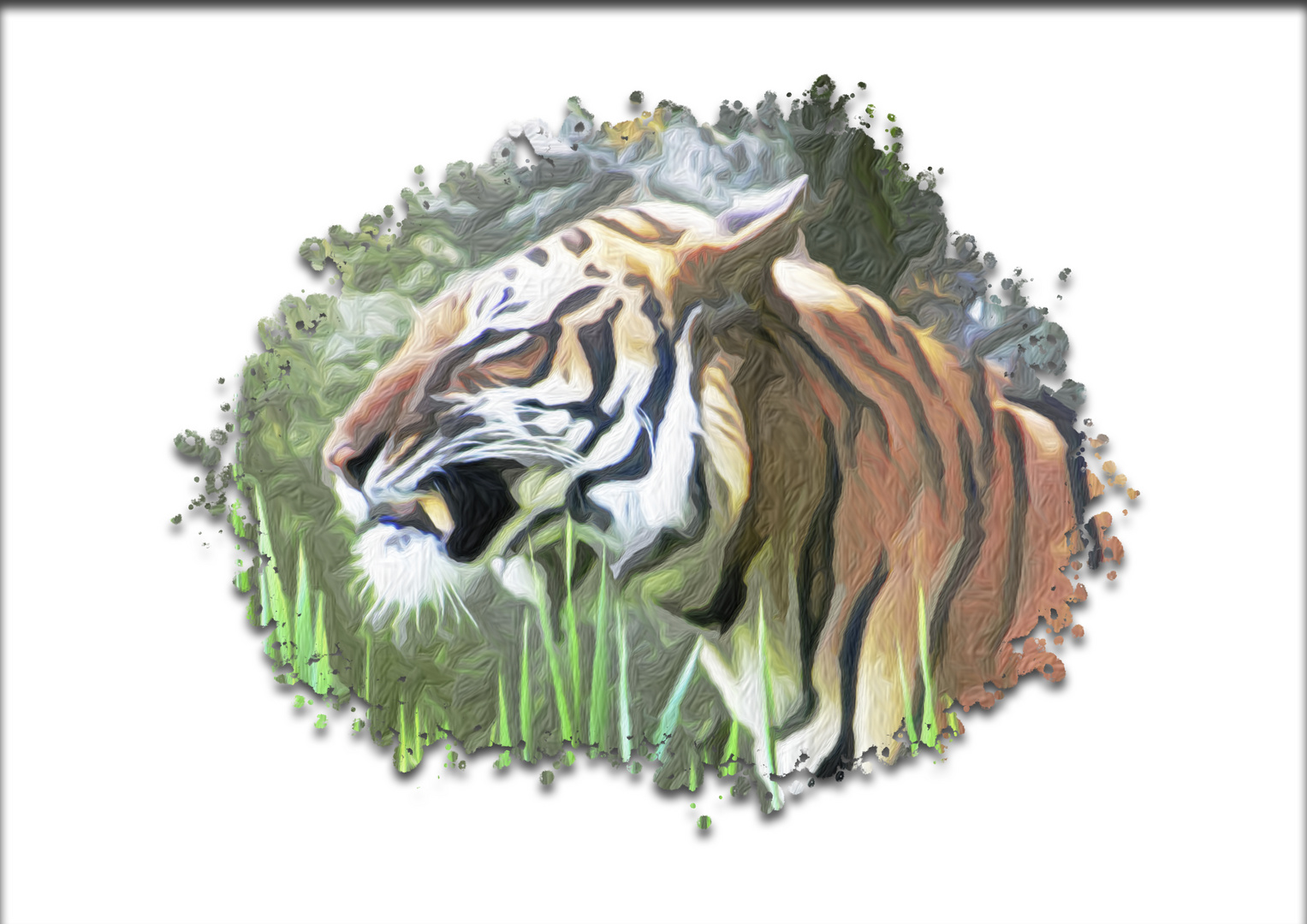 Shir Khan is smiling Foto & Bild | tiere, zoo, wildpark & falknerei ...