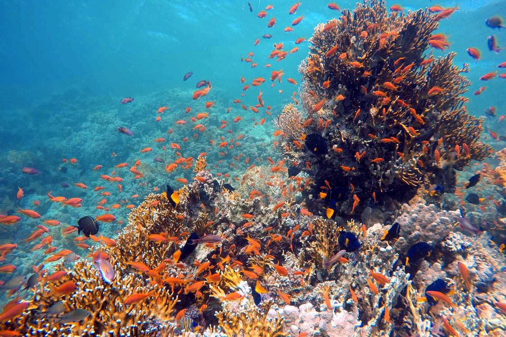 Shoab El Shouna Foto & Bild | africa, egypt, north africa Bilder auf ...