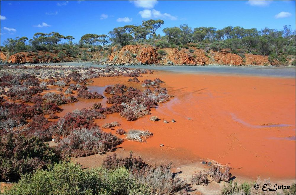 Shore Line of Lake Cowan Foto & Bild | australia & oceania, australia ...