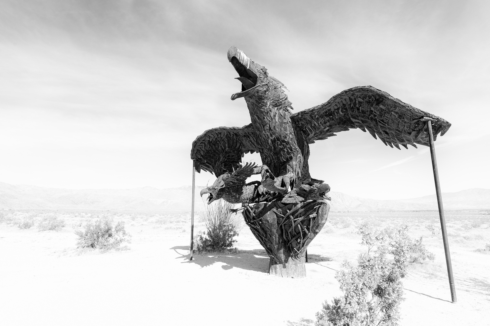 Sich erheben... Foto & Bild | usa, world, spezial Bilder auf fotocommunity