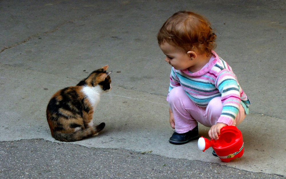 sich kennen lernen". . Foto & Bild | kinder, babies, 2009/10 Bilder auf ...