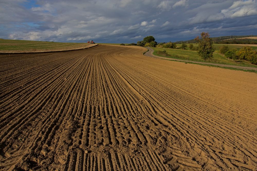 sich vom Acker machen.......... Foto & Bild | deutschland, europe ...