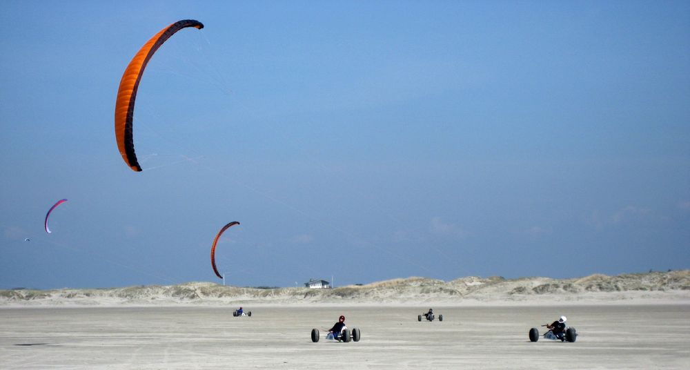 Sie haben den Durchblick woher der Wind weht ... Foto & Bild ...