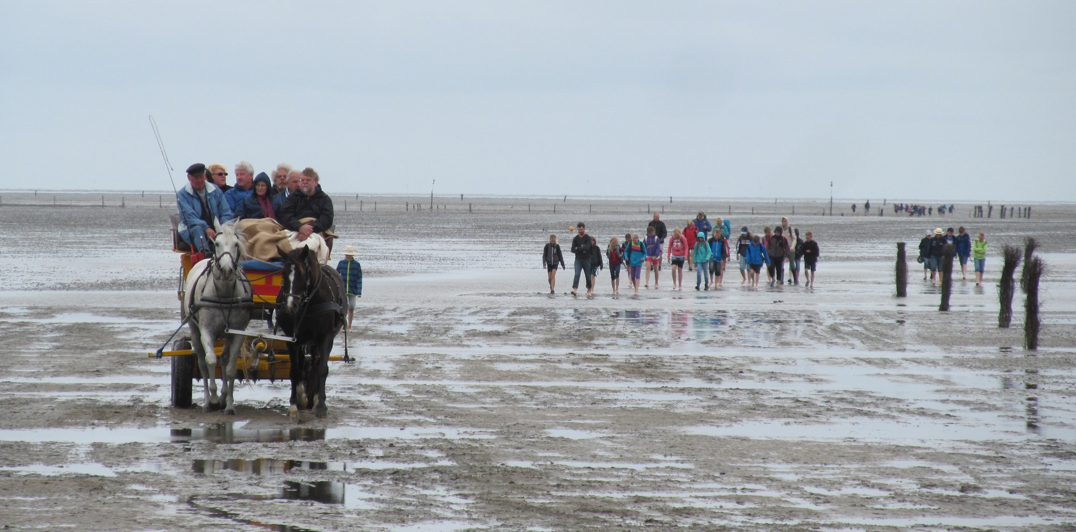 sie kommt gerade von der Insel Neuwerk zurück .... Foto & Bild | street ...