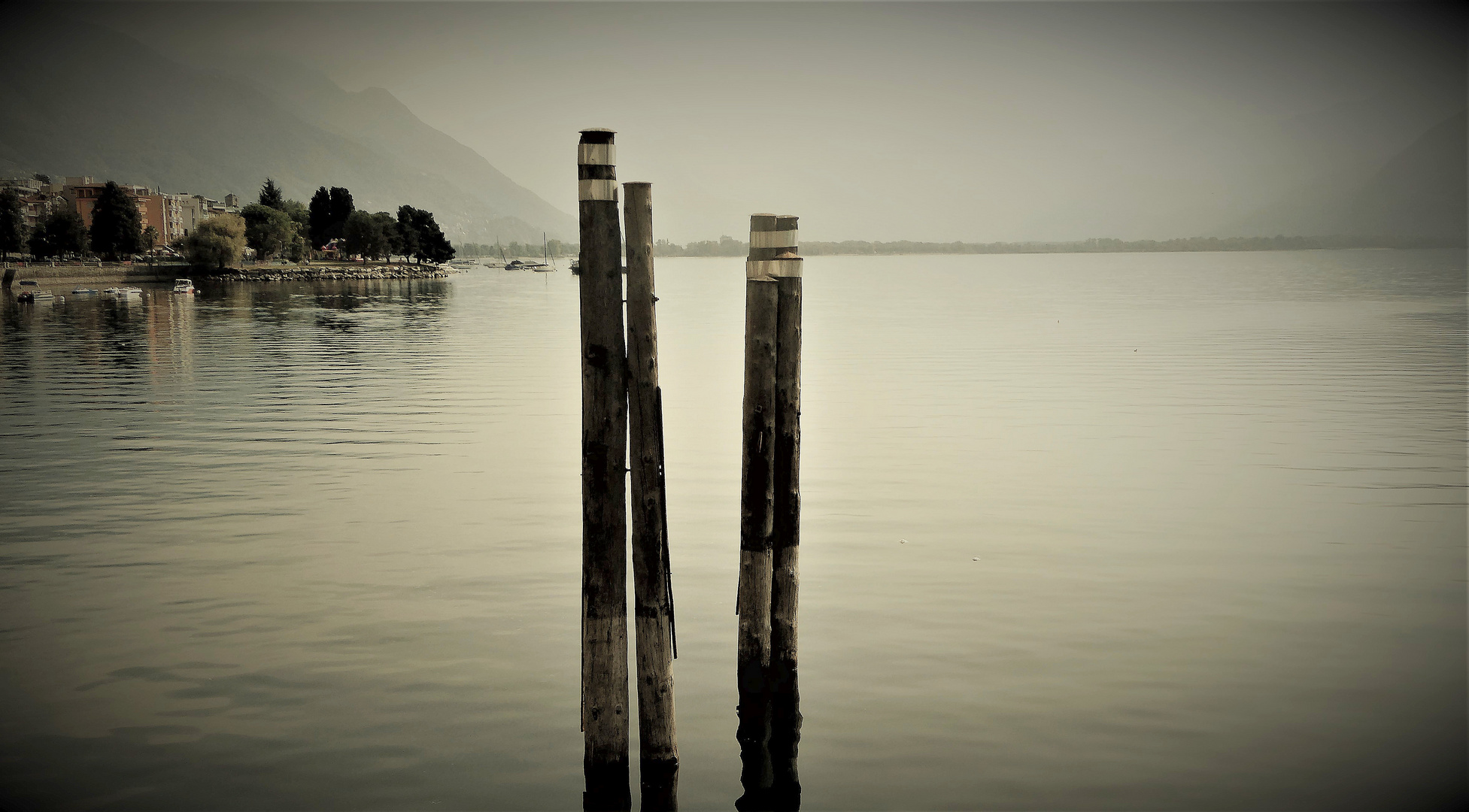 Sie stehen stramm.... Foto & Bild | europe, schweiz & liechtenstein, kt ...