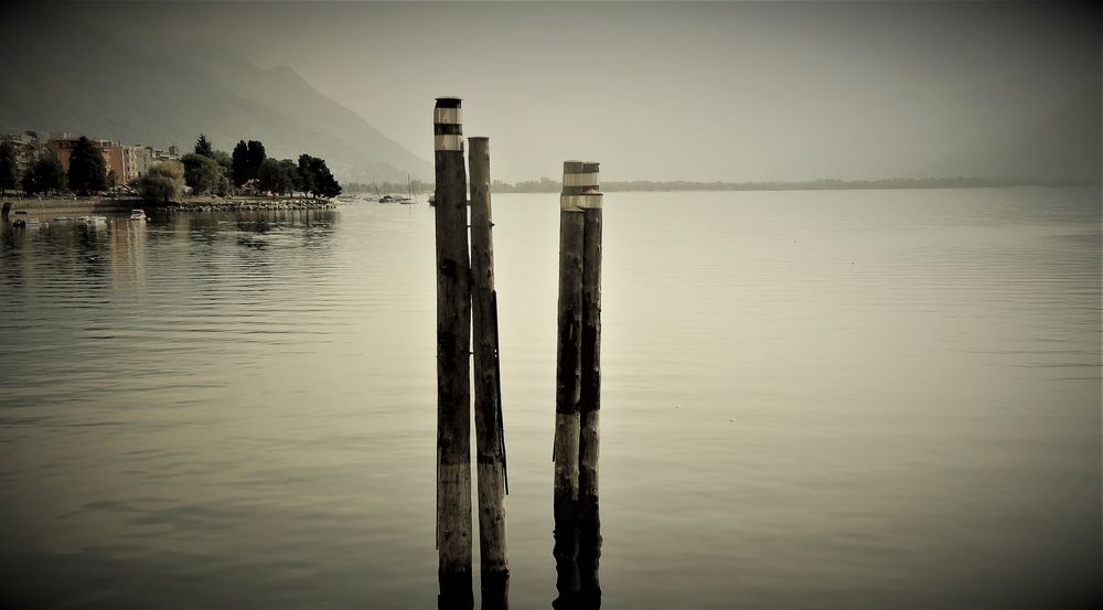 Sie stehen stramm.... Foto & Bild | europe, schweiz & liechtenstein, kt ...