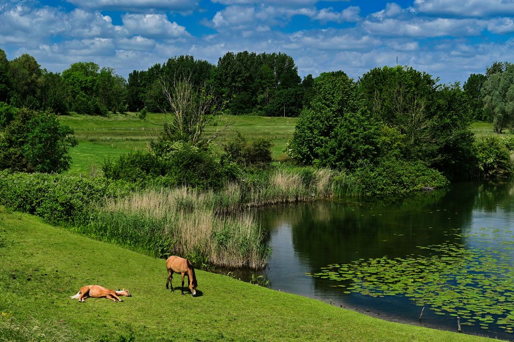 Siesta Foto & Bild | deutschland, europe, nordrhein- westfalen Bilder ...
