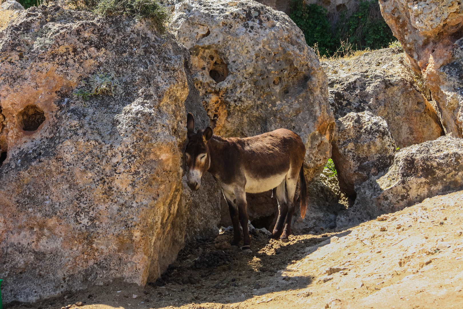 Siesta Foto & Bild | world, outdoor, griechenland Bilder auf fotocommunity