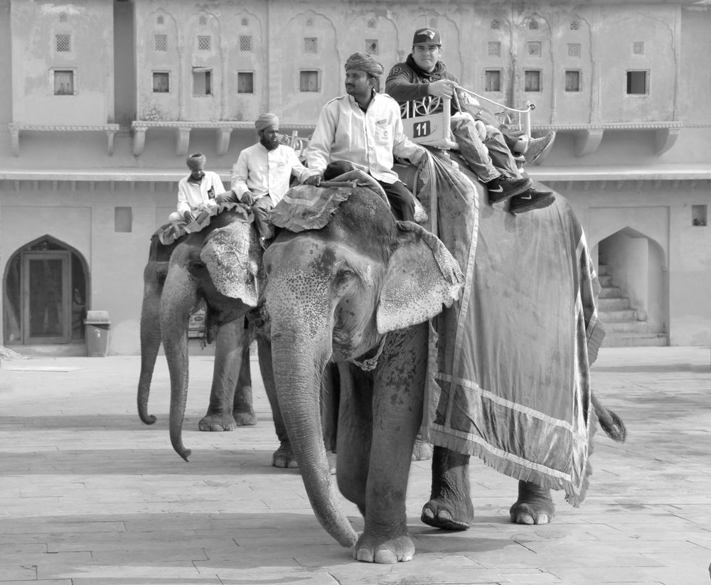 Sightseeing vom Elefanten aus in der Festung Amber (Indien) Foto & Bild | asia, india ...