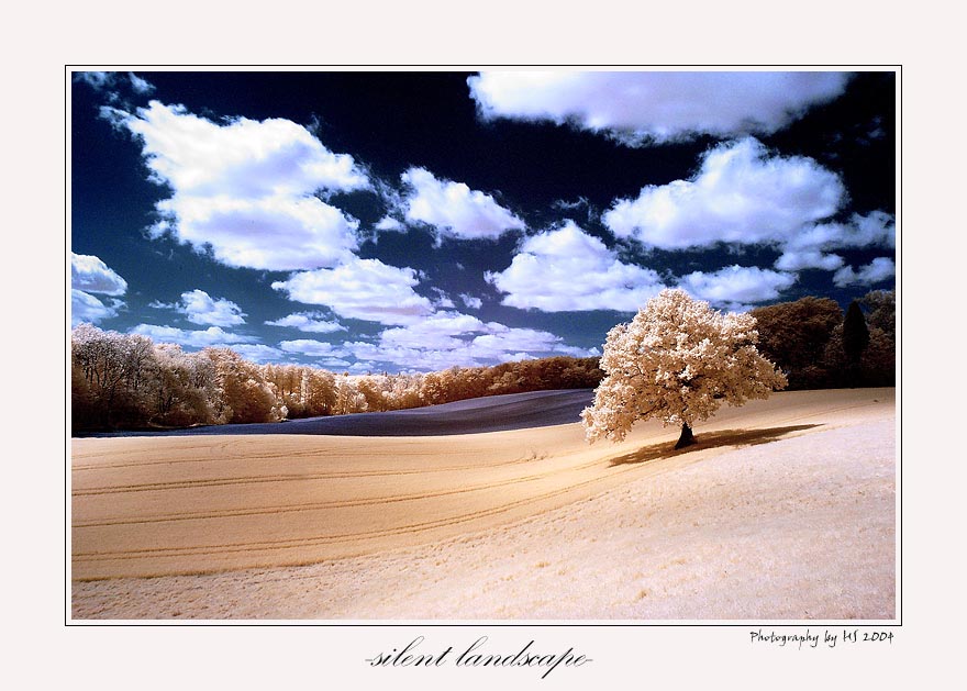 Silent Landscape Foto & Bild | infrarot, techniken, aufnahme-techniken ...