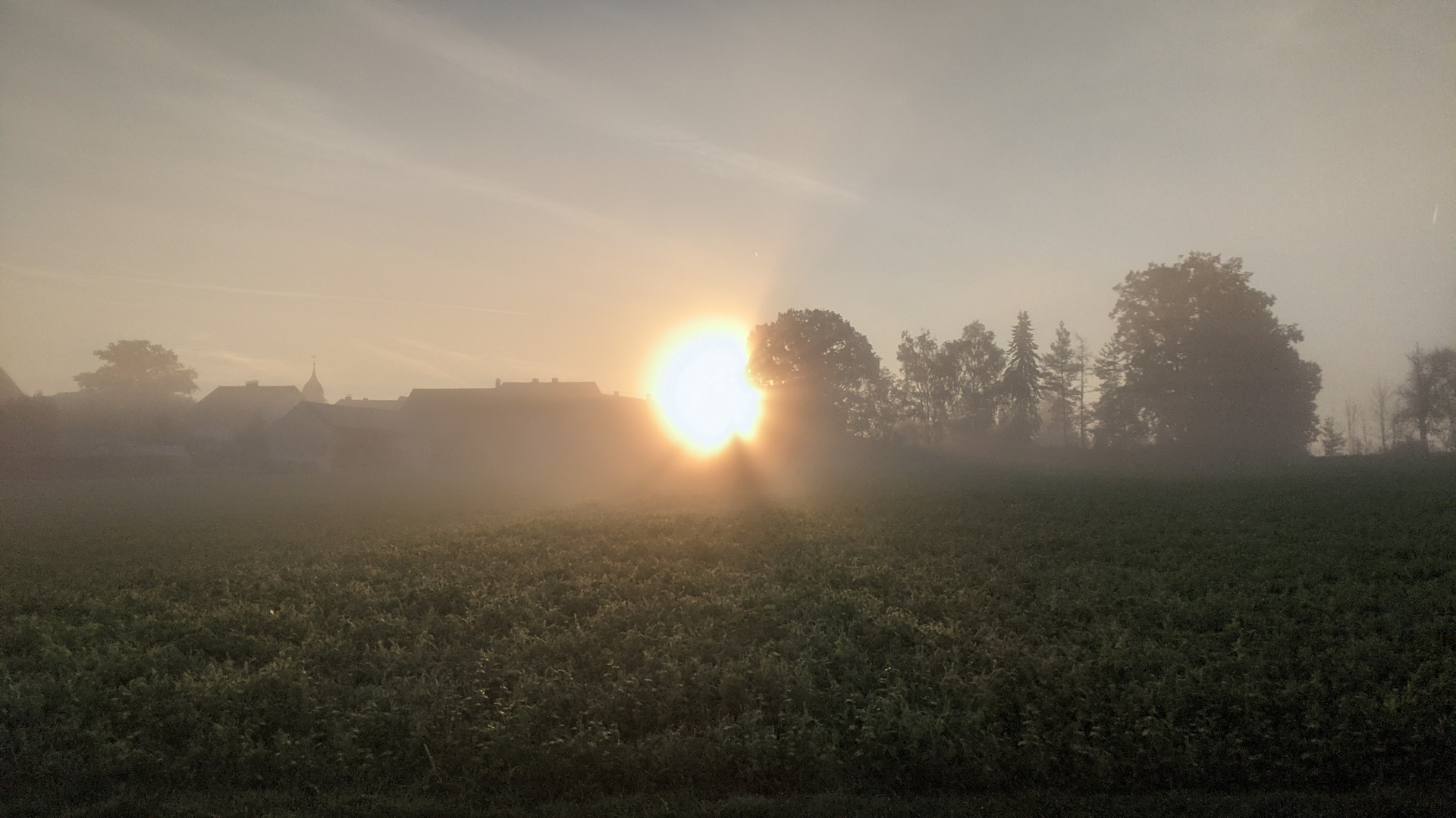 Silent Morning Foto & Bild | landschaft, outdoor, bäume Bilder auf ...