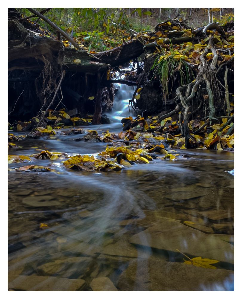 Silky Water Foto & Bild | pure nature, natur, landschaft Bilder auf ...