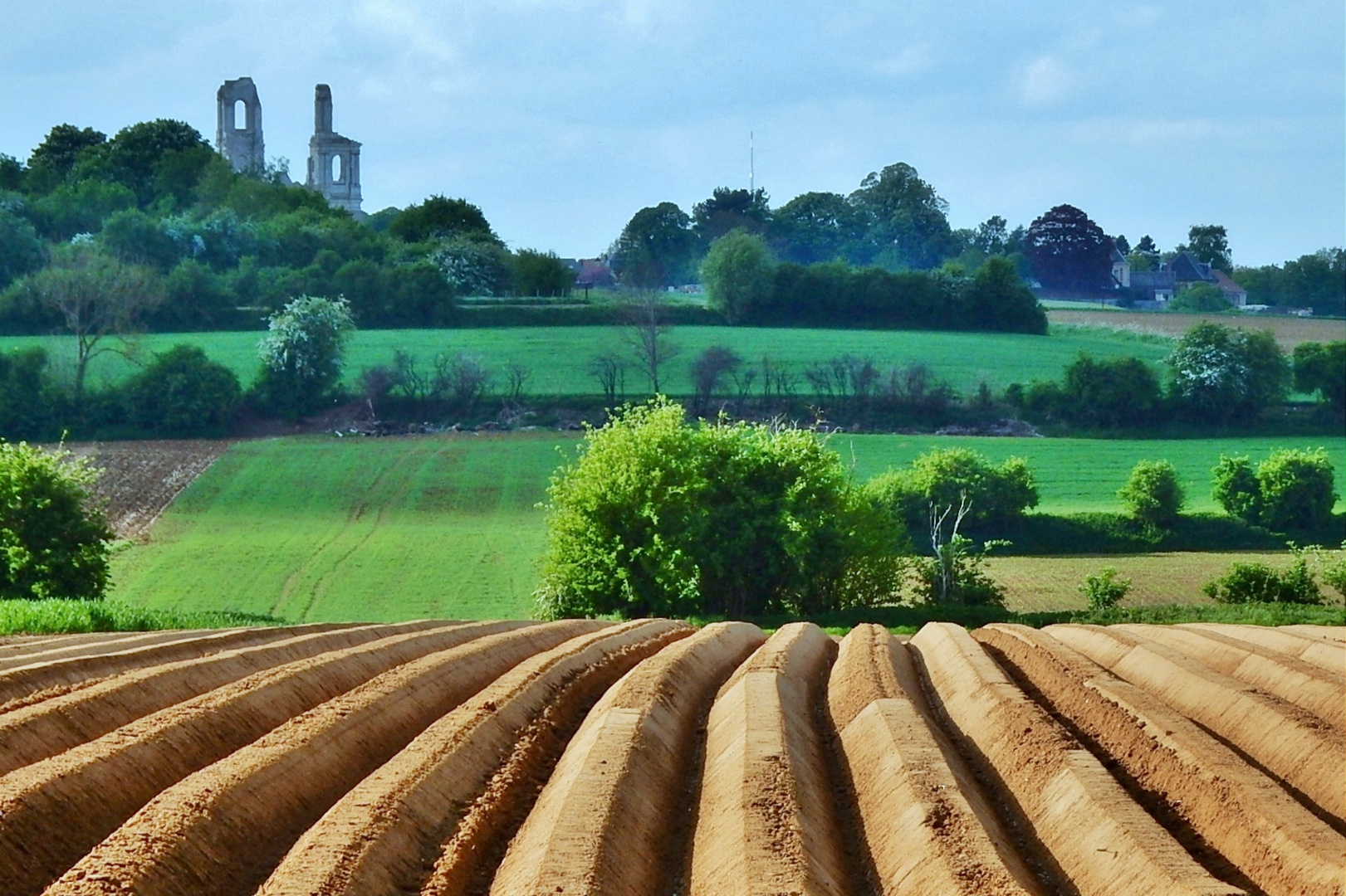 Sillons photo et image | special, animations photographiques, exercices ...