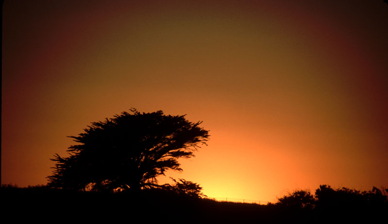 Simple, yet beautiful Foto & Bild | landschaft, natur Bilder auf ...