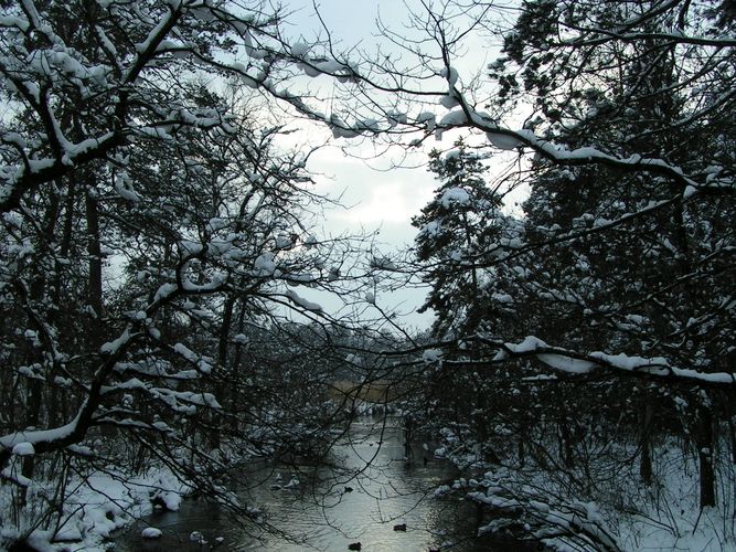 Simssee in Oberbayern Foto & Bild | jahreszeiten, winter, natur Bilder ...