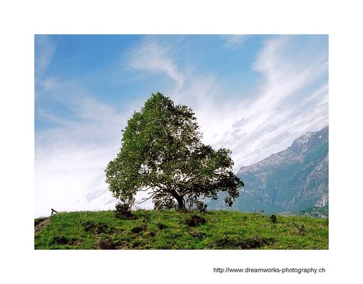 Daniela Grogg - Fotos & Bilder - Fotografin | fotocommunity