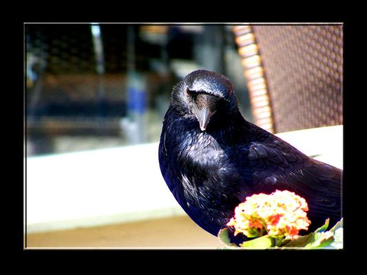 Nicole Gramckow - Fotos & Bilder - Fotografin aus Köln, Deutschland ...