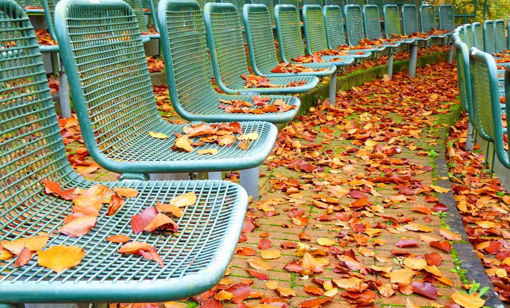 Sit down please ... Foto & Bild | architektur, pflanzen, pilze ...