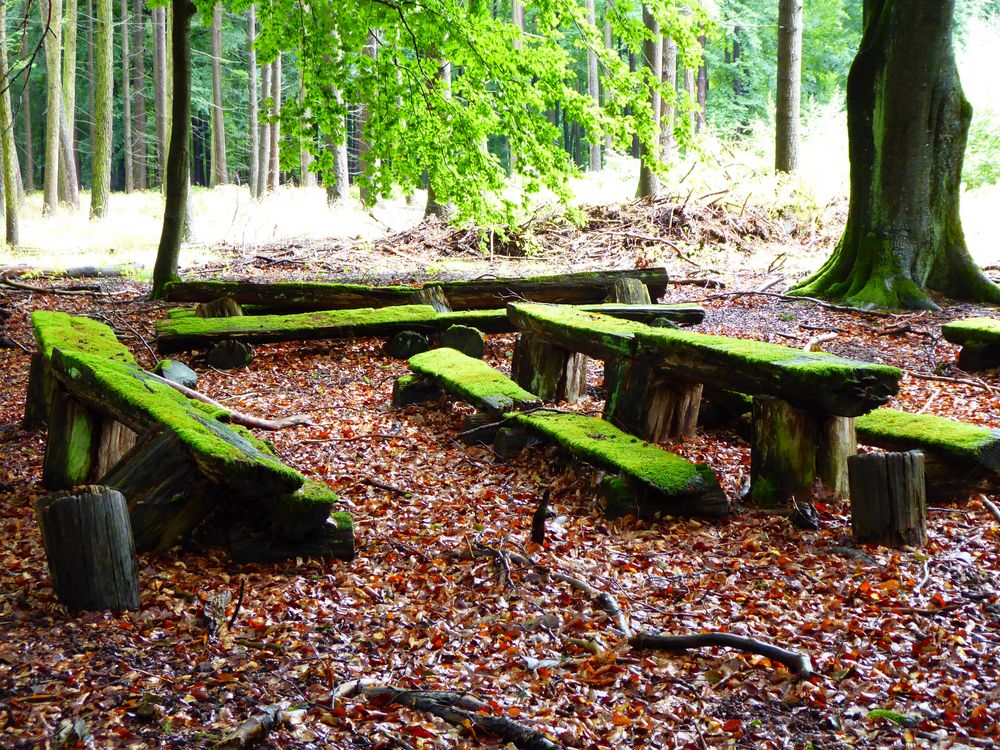 Sitzgruppe im Wald Foto & Bild | stillleben, landschaft, wald Bilder auf fotocommunity