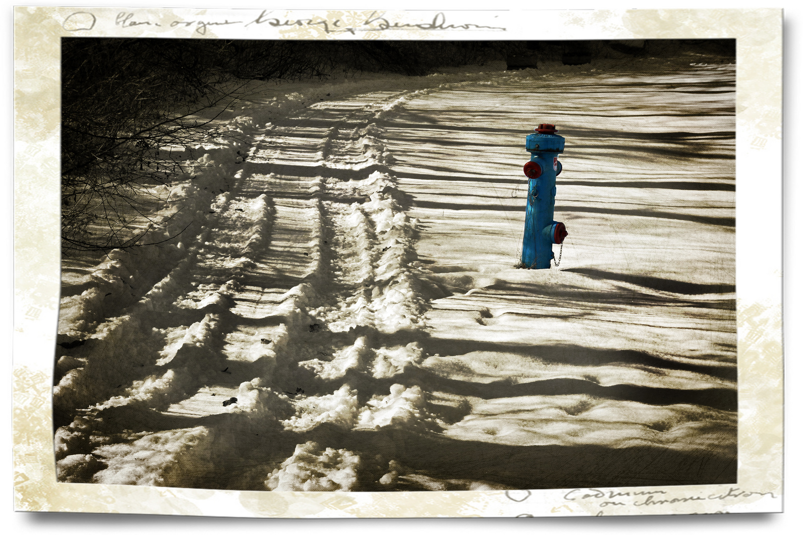 S...kalt... Foto & Bild | winter, schnee, natur Bilder auf fotocommunity