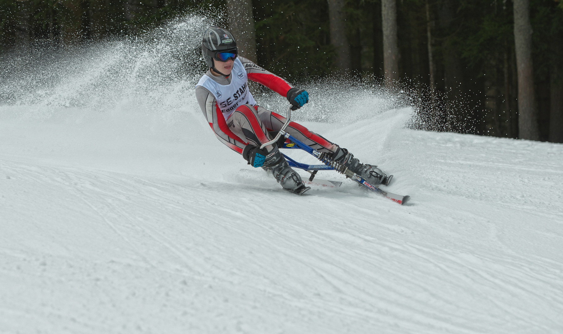 Skibob WM I Foto & Bild | sport, wintersport, schnee Bilder auf ...