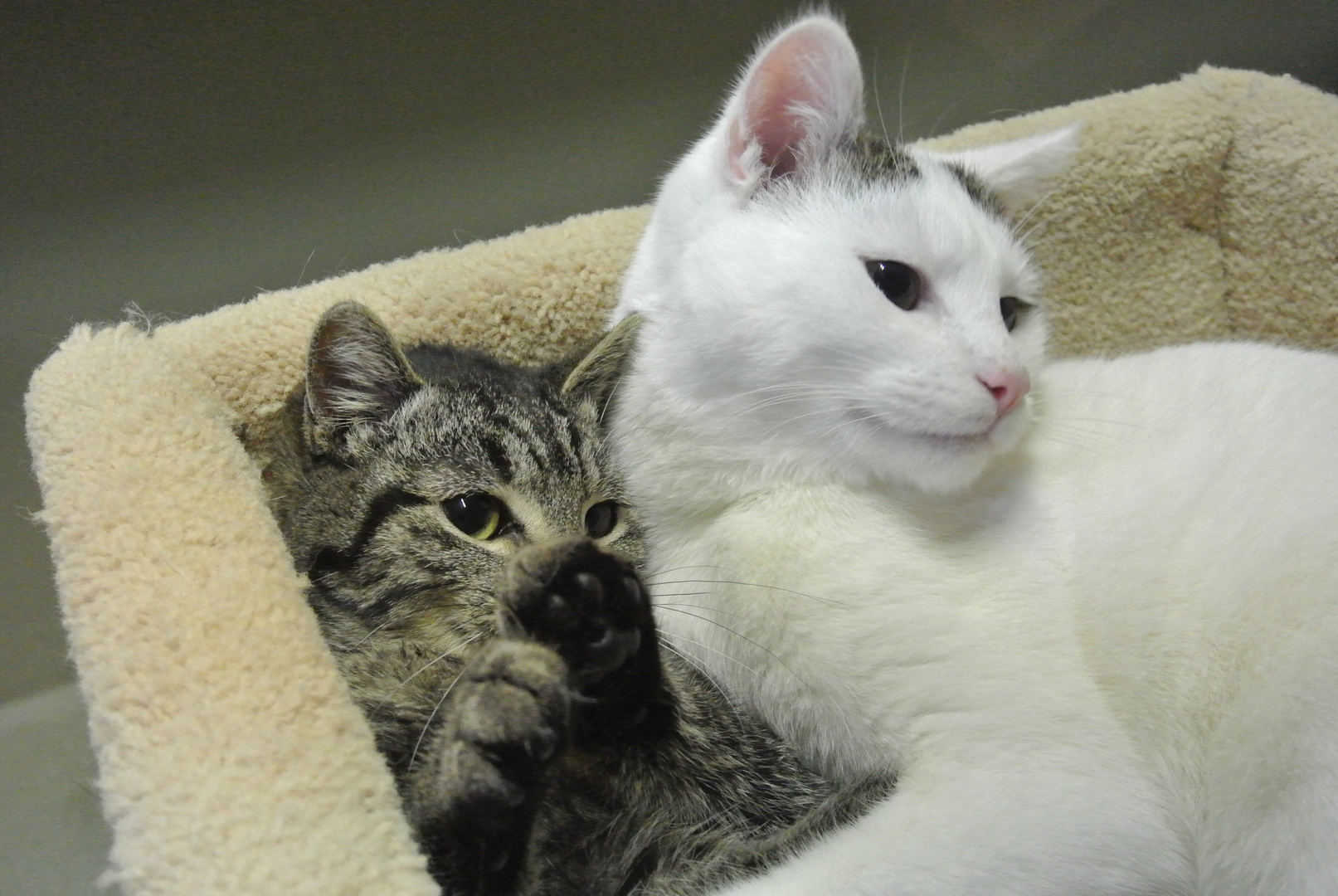 SKYRbie & Nicki Foto & Bild | testfälle Bilder auf fotocommunity